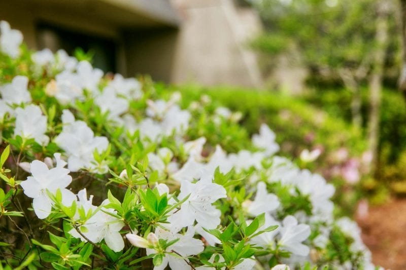 Our Facility | Peachford Hospital | Atlanta, Georgia